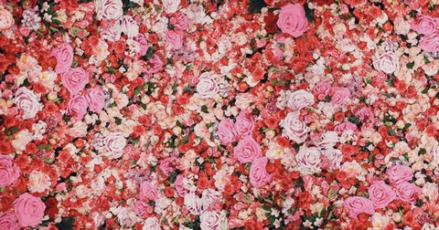 Onlyfans leaks damiensoft - fans4leak.com